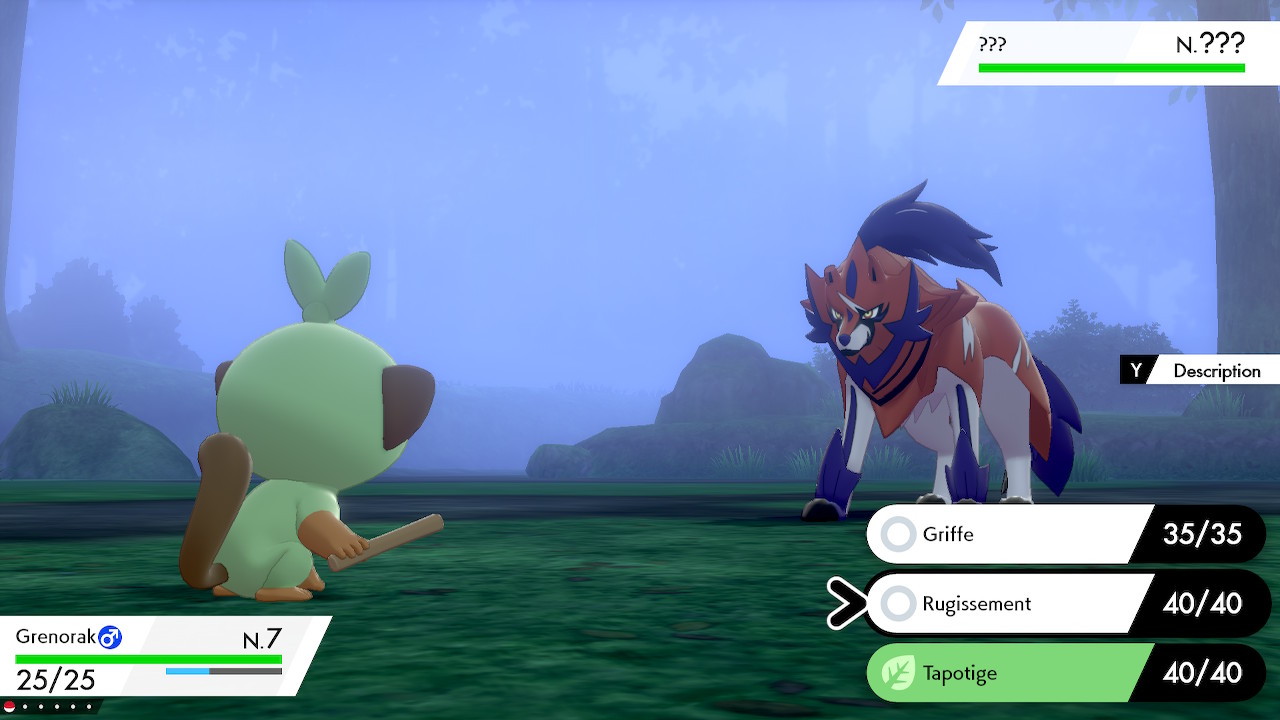 Pokemon Sword/Shield | hed854.fr